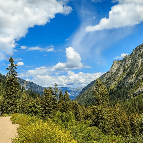 Lantern Comitas | Expert PR, Communications, and Marketing Across Europe and Africa