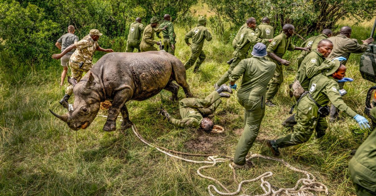 Loisaba | Lantern Comitas